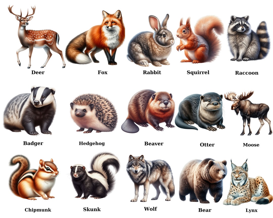 Woodland Animals Clipart Watercolor Forest Deer Fox Rabbit Squirrel ...