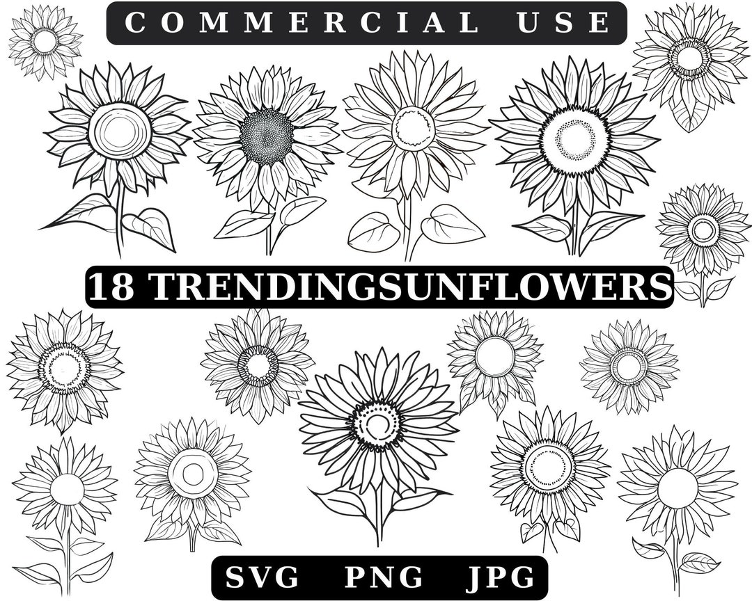 Sunflower SVG Bundle,sunflower PNG Bundle,sunflower Clipart,sunflower ...