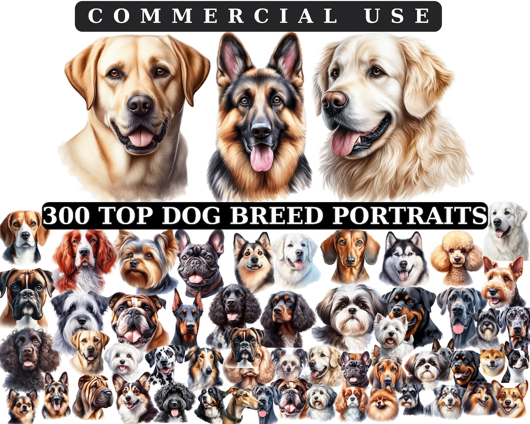 100 Dog Breeds Clipart Bundle, Pet, German Shepherd, French Bulldog ...