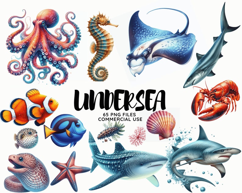 Marine Animals Clip Art Bundle: Underwater Sea PNG Designs (commercial ...