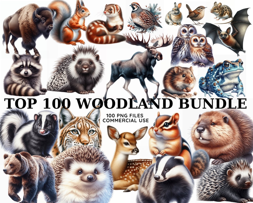 Woodland Animals Clipart: 100+ Forest Creature Pngs (digital Download ...