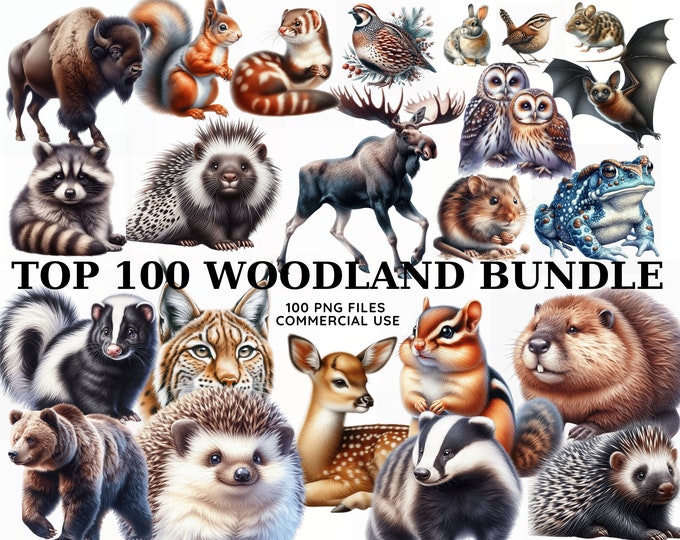 Woodland Animals Clipart Bundle: Nursery Art Png(digital Download ...