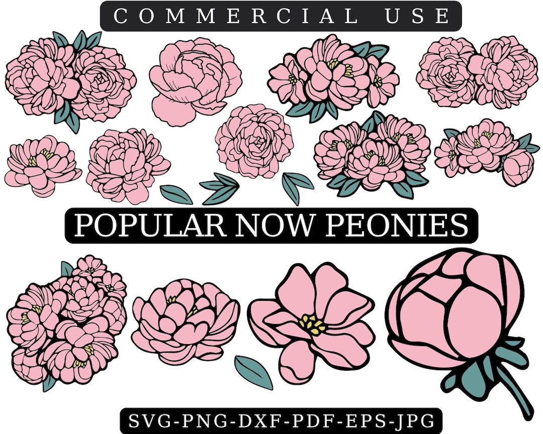 PEONY SVG FILE, Peonies Svg, Peony Peonies Clipart, Cut Files for ...