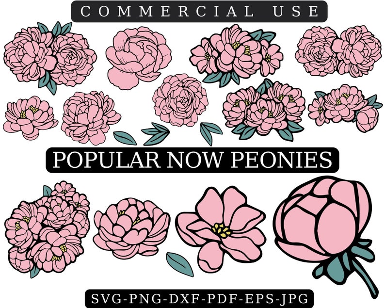 Peony SVG File Bundle for Cricutpeonies Clipart Setpink - Etsy