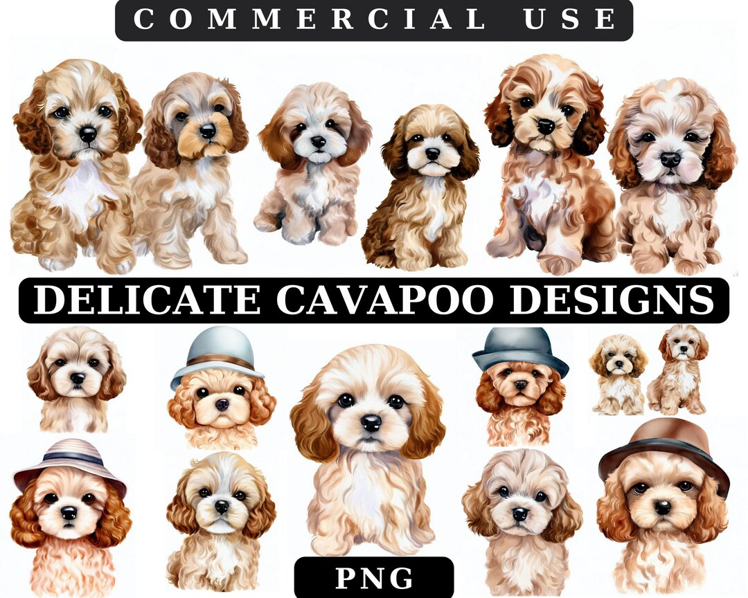 Cavapoo Art Png, Cute Dog Clipart,dog Png, Watercolor Cavapoo Clipart ...