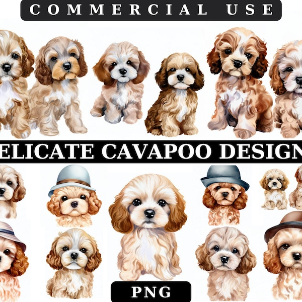 Cavapoo - Etsy UK