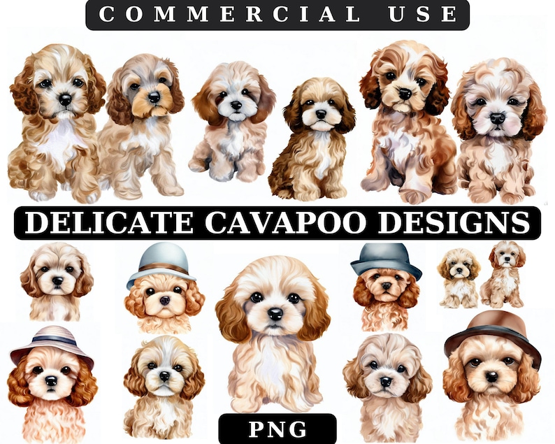 Cavapoo Art Png, Cute Dog Clipart,dog Png, Watercolor Cavapoo Clipart ...