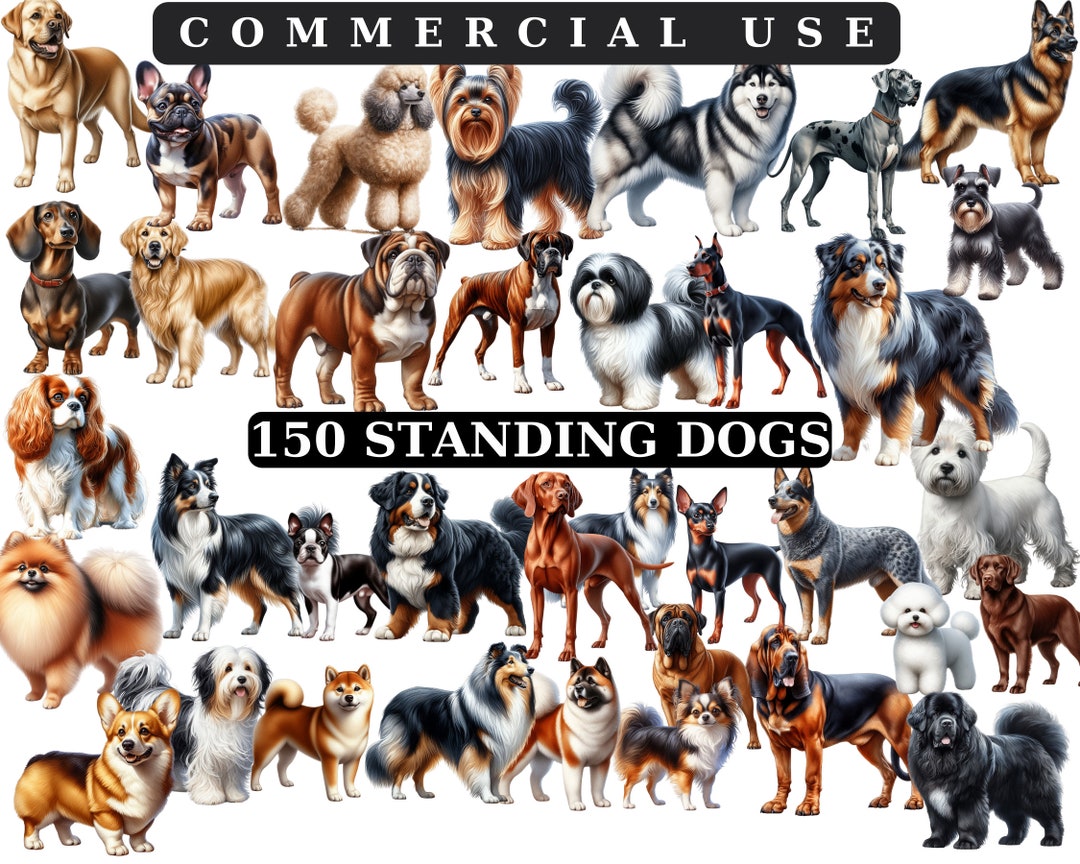 Dog Breeds Watercolor Clipart Bundle: 40 Hand-drawn Puppy Illustrations ...
