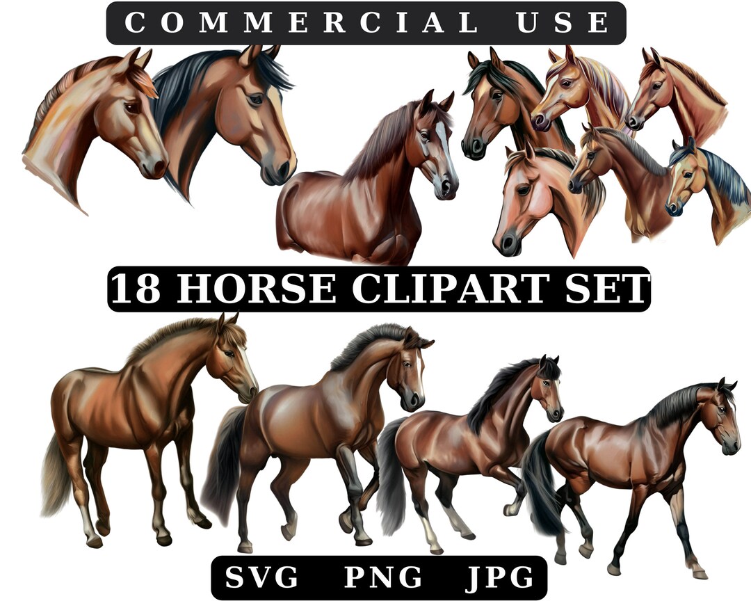 Watercolor Horse Clipart Set: Farm Animal PNG, SVG, JPG (digital ...