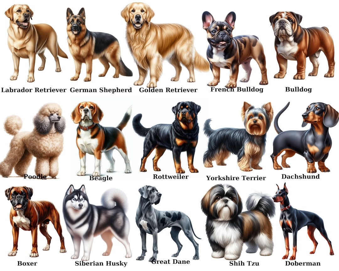 Watercolor Puppy Standing Clipart, Whole Dog Breeds Clipart Bundle ...