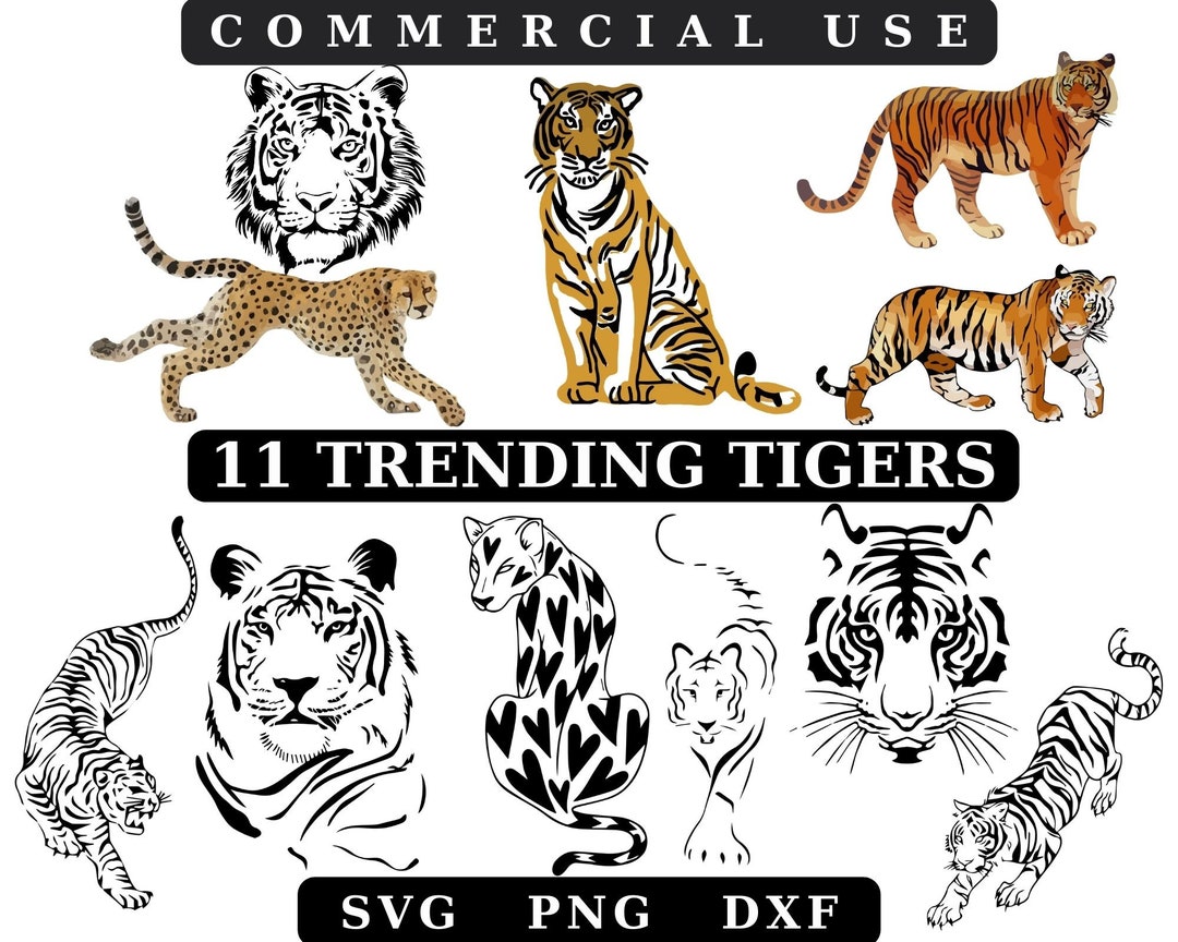 Tiger Sticker SVG Bundle,tiger Head Svg,tiger Svg,t-shirt Svg,tiger ...