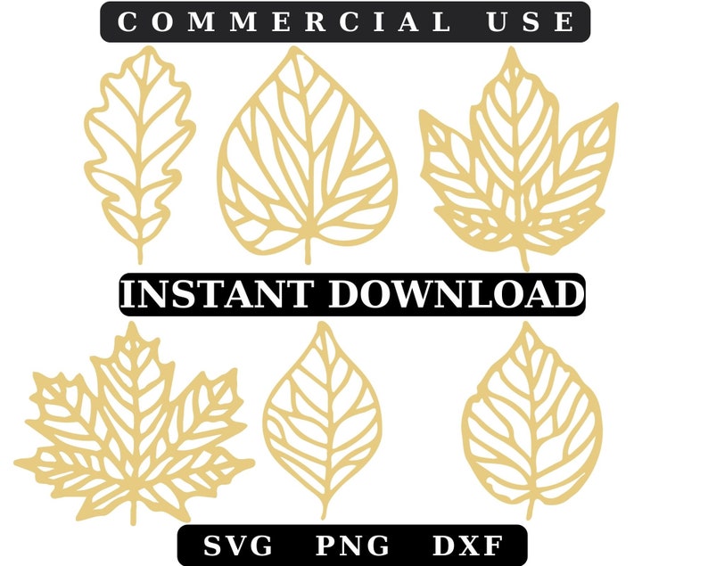 Fall Leaf Clipart: Autumn Leaves SVG, PNG, DXF (digital Download) - Etsy
