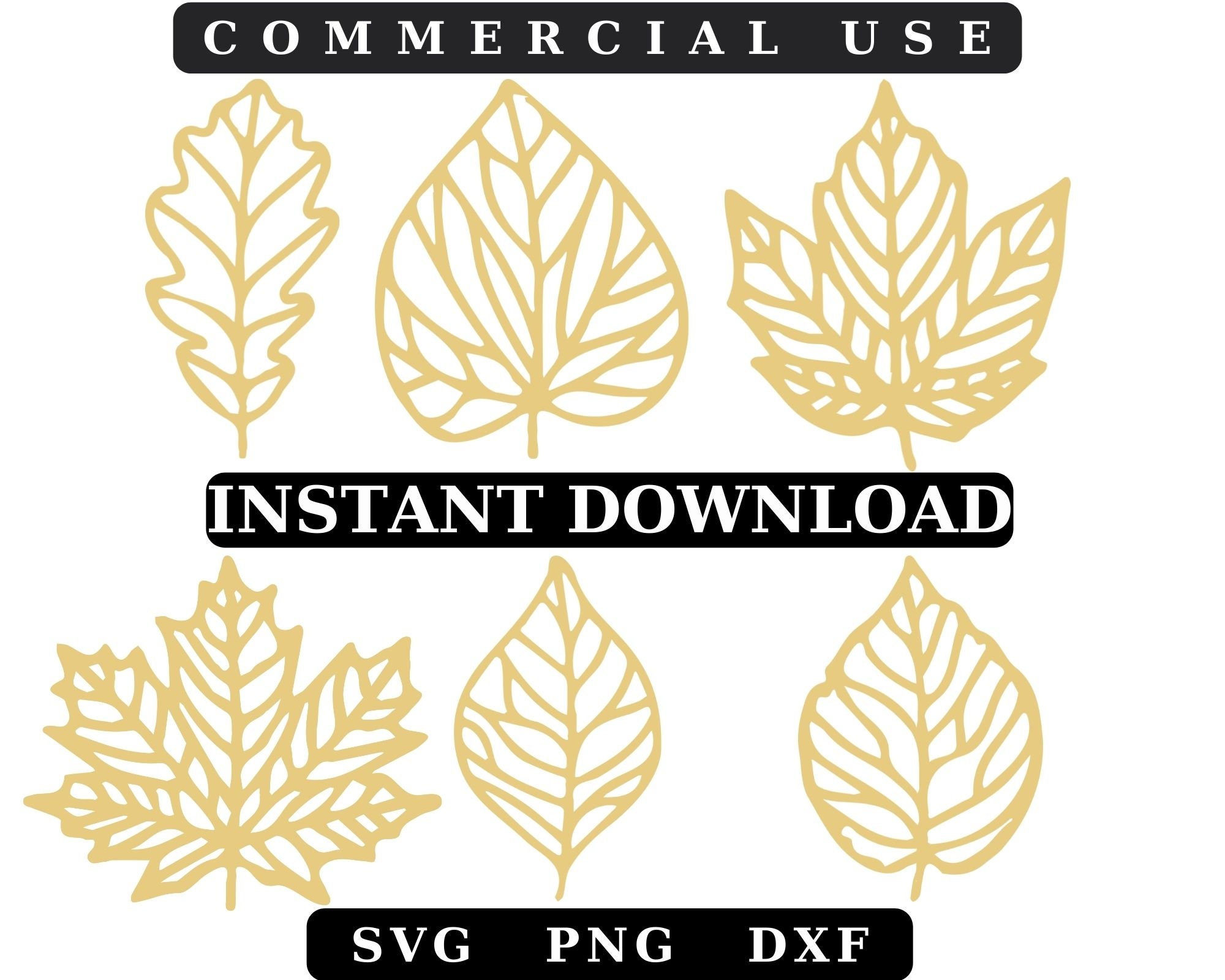 Leaf Svg Leaf Png Leaves Svg Fall Leaf Svg Autumn Leaf - Etsy