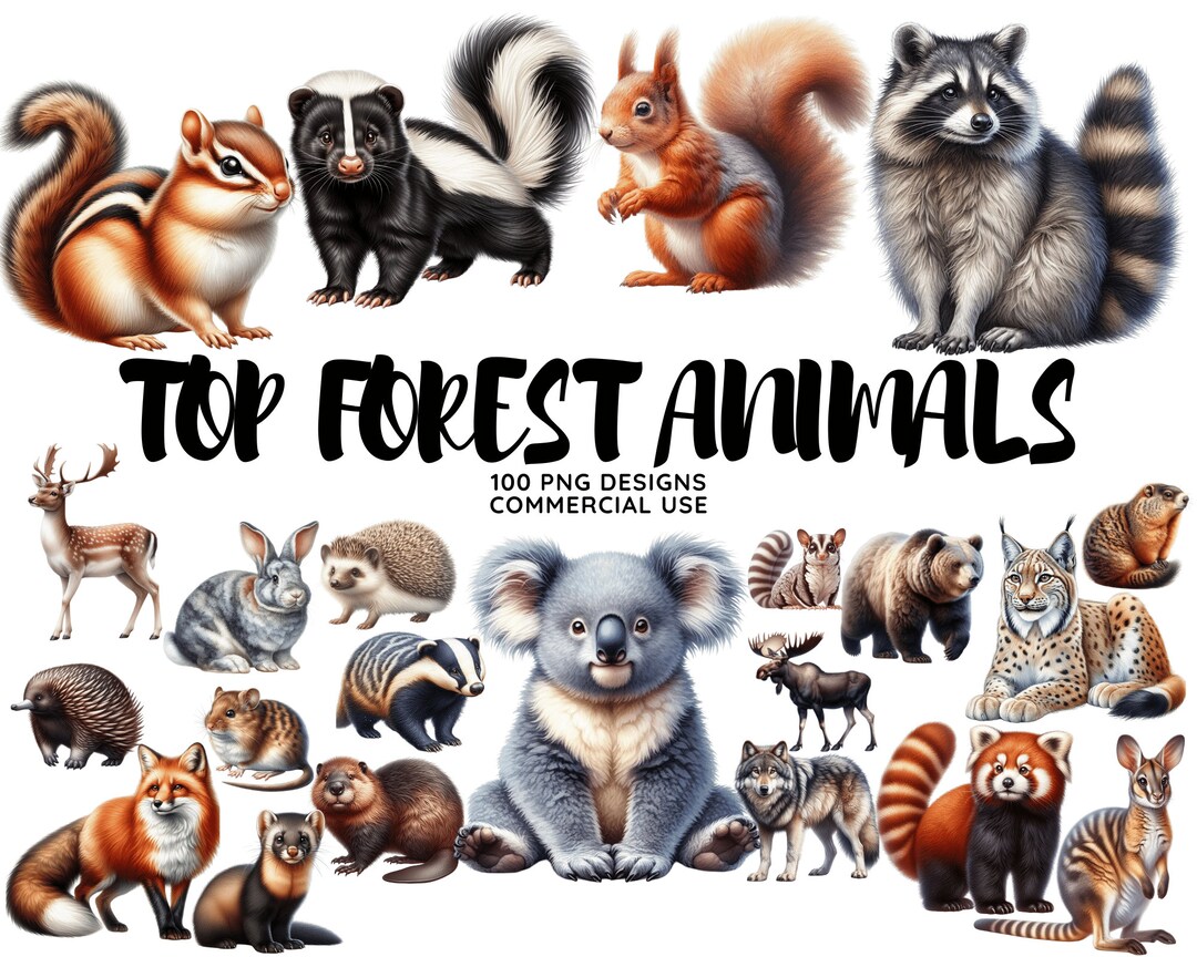 Woodland Animals, Watercolor Forest Animals PNG, Forest Baby Animals ...