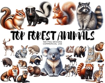 Woodland Animals, Watercolor Forest Animals PNG, Forest Baby Animals ...