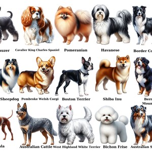 Watercolor Puppy Clipart, 370 Dog Breeds Clipart Bundle, Puppy Dog ...