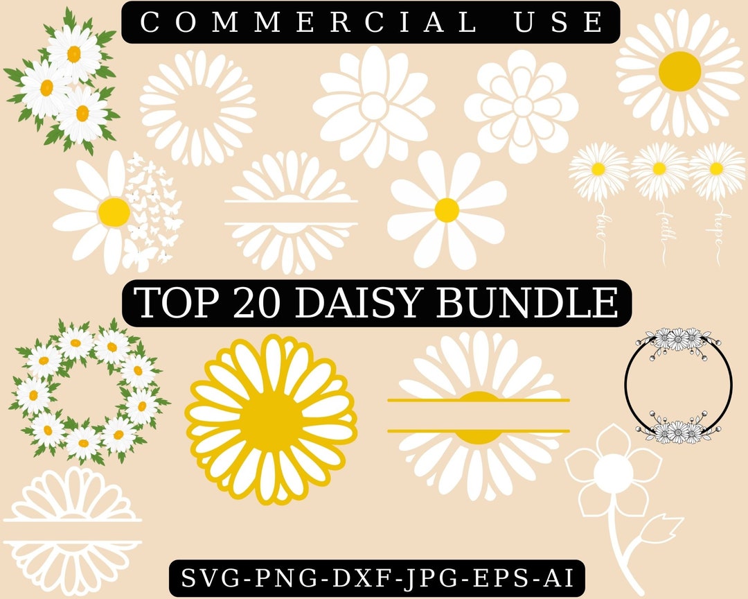 DAISY SVG, DAISY Flower Svg Bundle, Spring Svg, Daisy Silhouette, Daisy ...