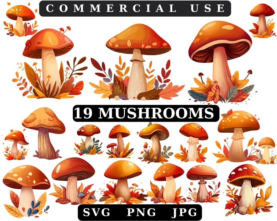 Watercolor Mushrooms Clipart, Fall Forest Nature Toadstool Clip Art ...