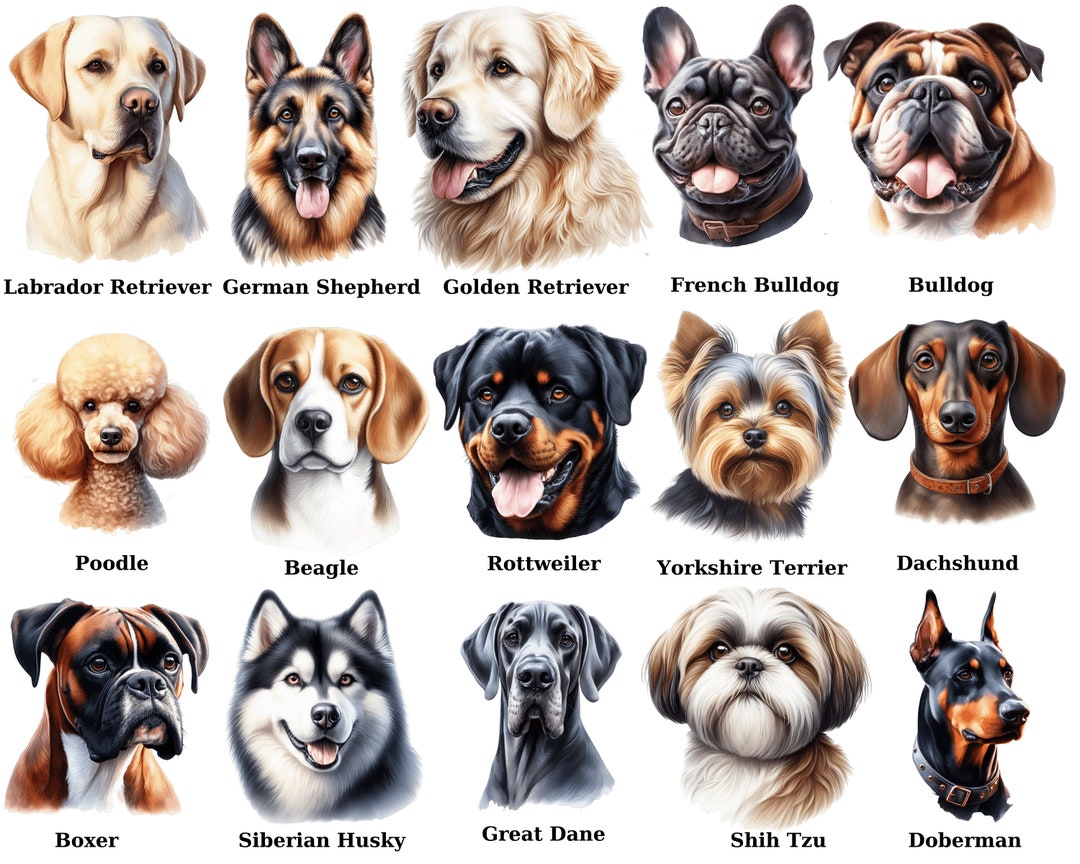 Watercolor Dog Breed Clipart Bundle: 100+ Dog Portraits (PNG, SVG, JPG ...