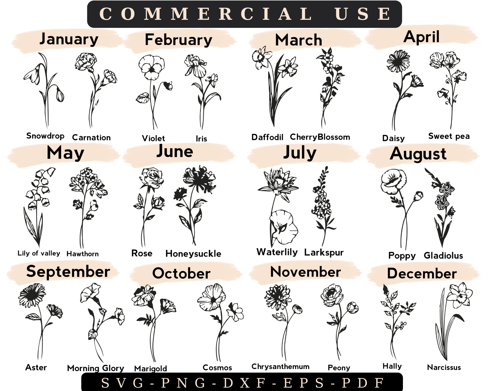 Birth Month Flower Zodiac SVG Bundle: Astrology Clipart (digital ...