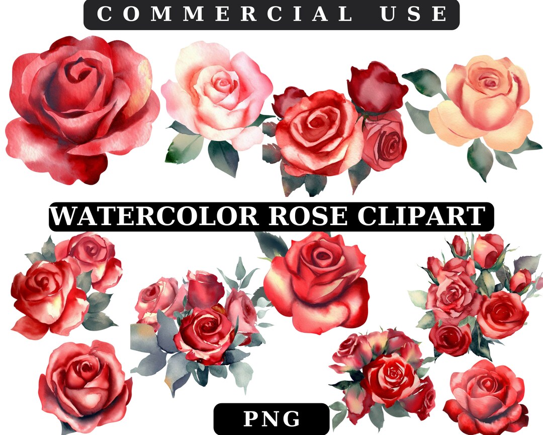 Watercolor Rose Png,watercolor Floral Clipart,red Flowers, Floral ...