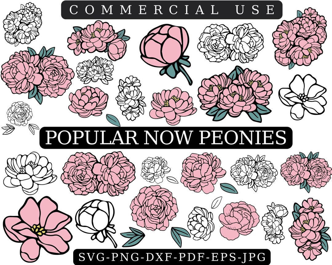 PEONIES SVG BUNDLE, Peony Svg, Black and White Peony Peonies Clipart ...