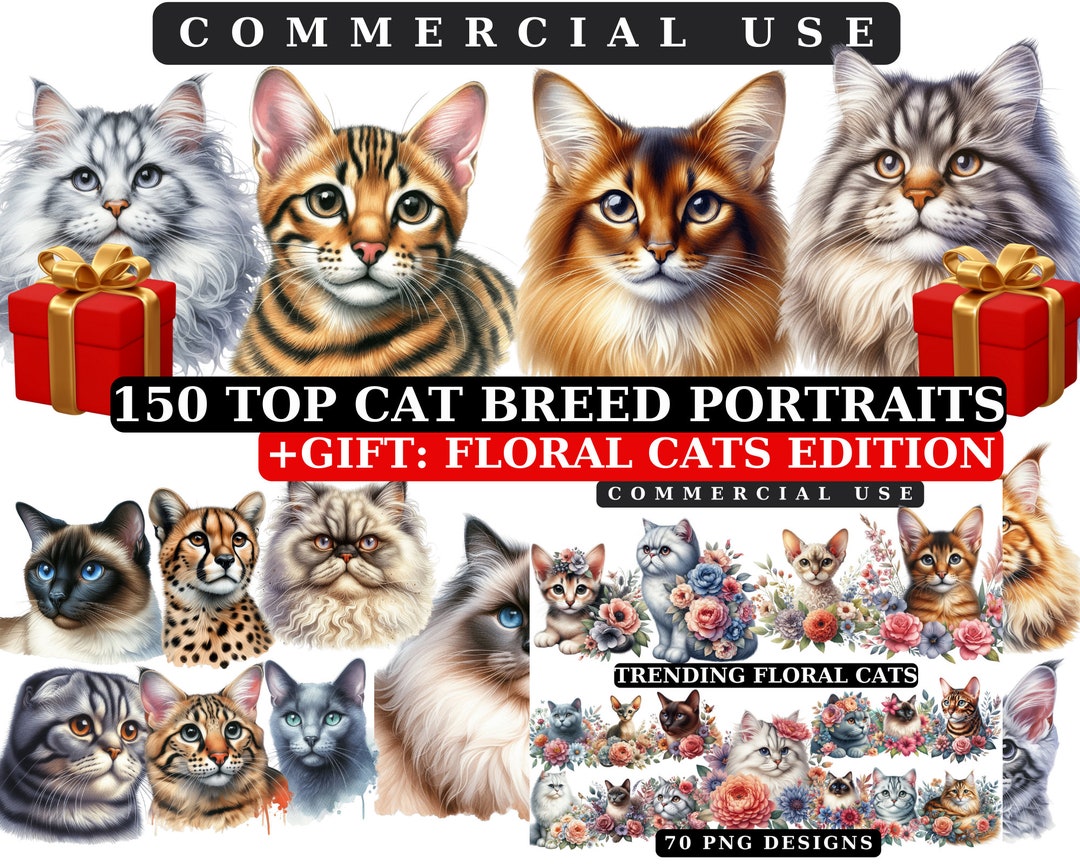 Watercolor Cat Breeds Portrait Clipart: Floral Kitten PNG Graphics ...