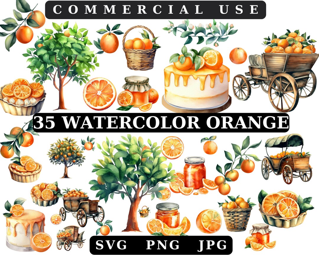 Watercolor Orange Clipart Set,orange Bundel Png,summer Orange Delights ...