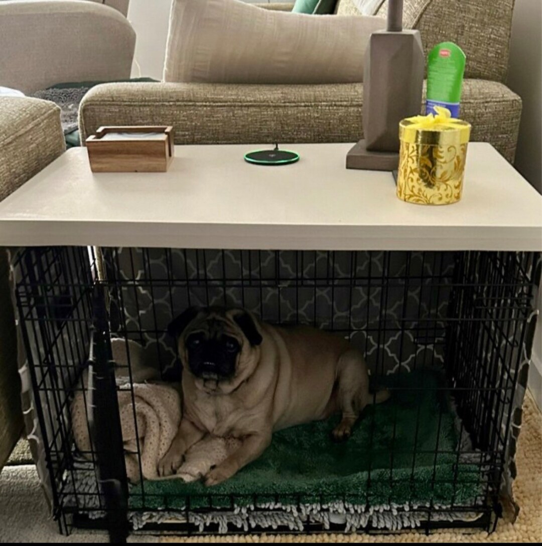 Dog Kennel Table Top, Dog Crate Table Top - Etsy