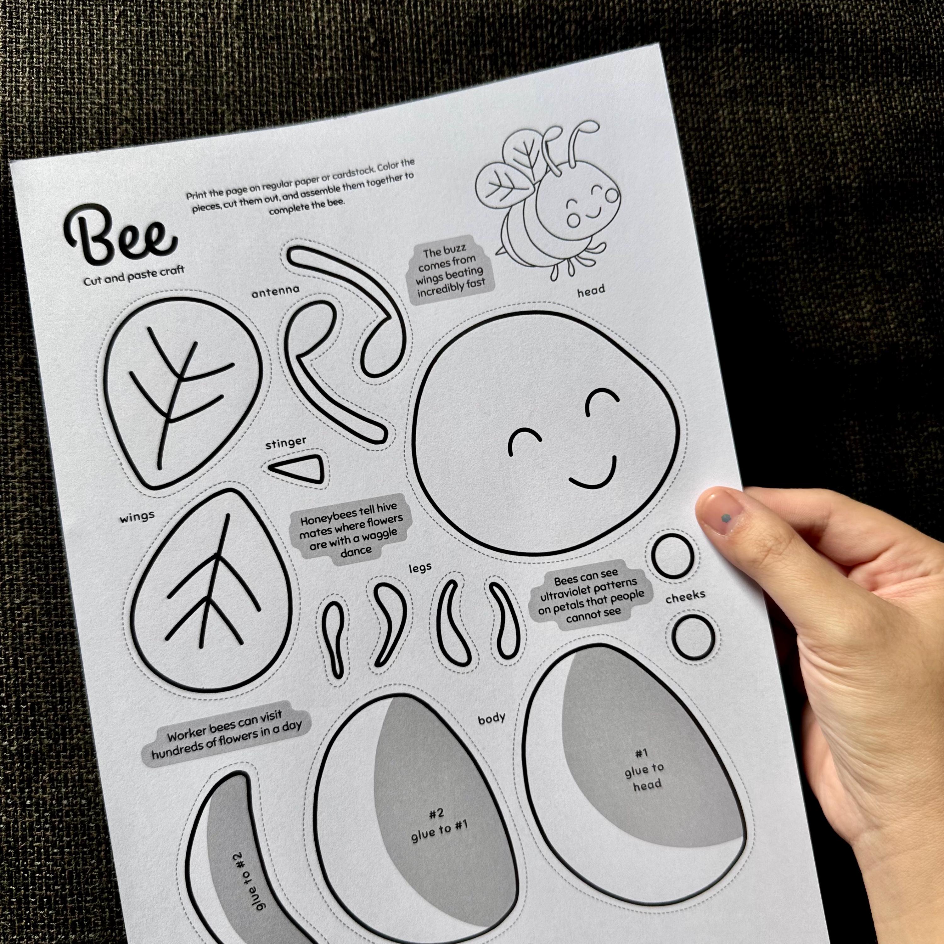 Bee Cut and Paste Craft Printable for Preschool | Bug Scissor Skills ...