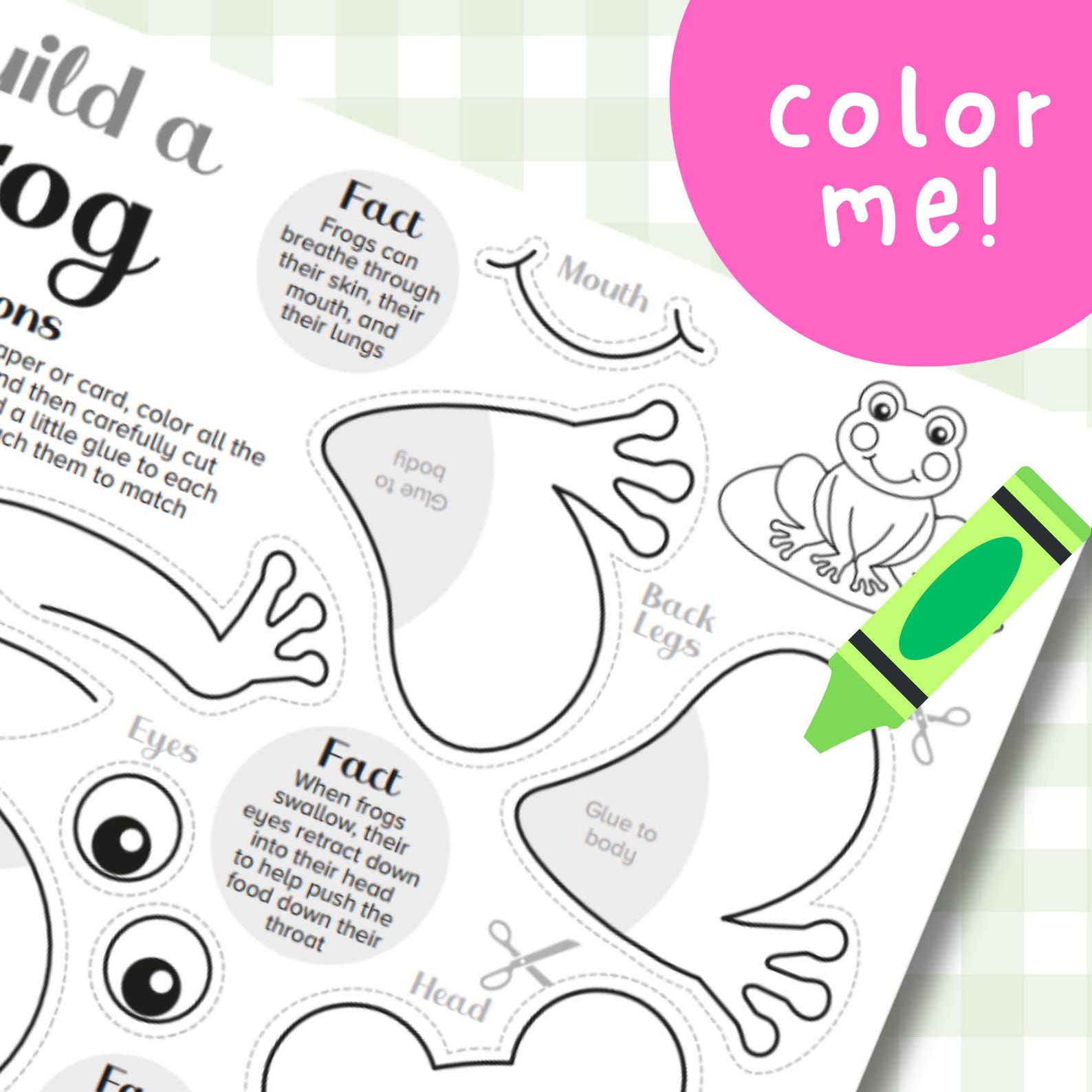 Printable Frog Craft | Color, Cut & Glue Activity (PDF Download - Etsy