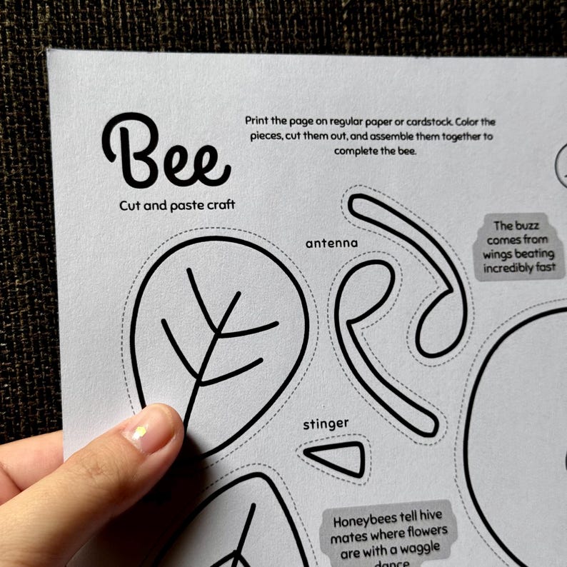 Bee Cut and Paste Craft Printable for Preschool | Bug Scissor Skills ...