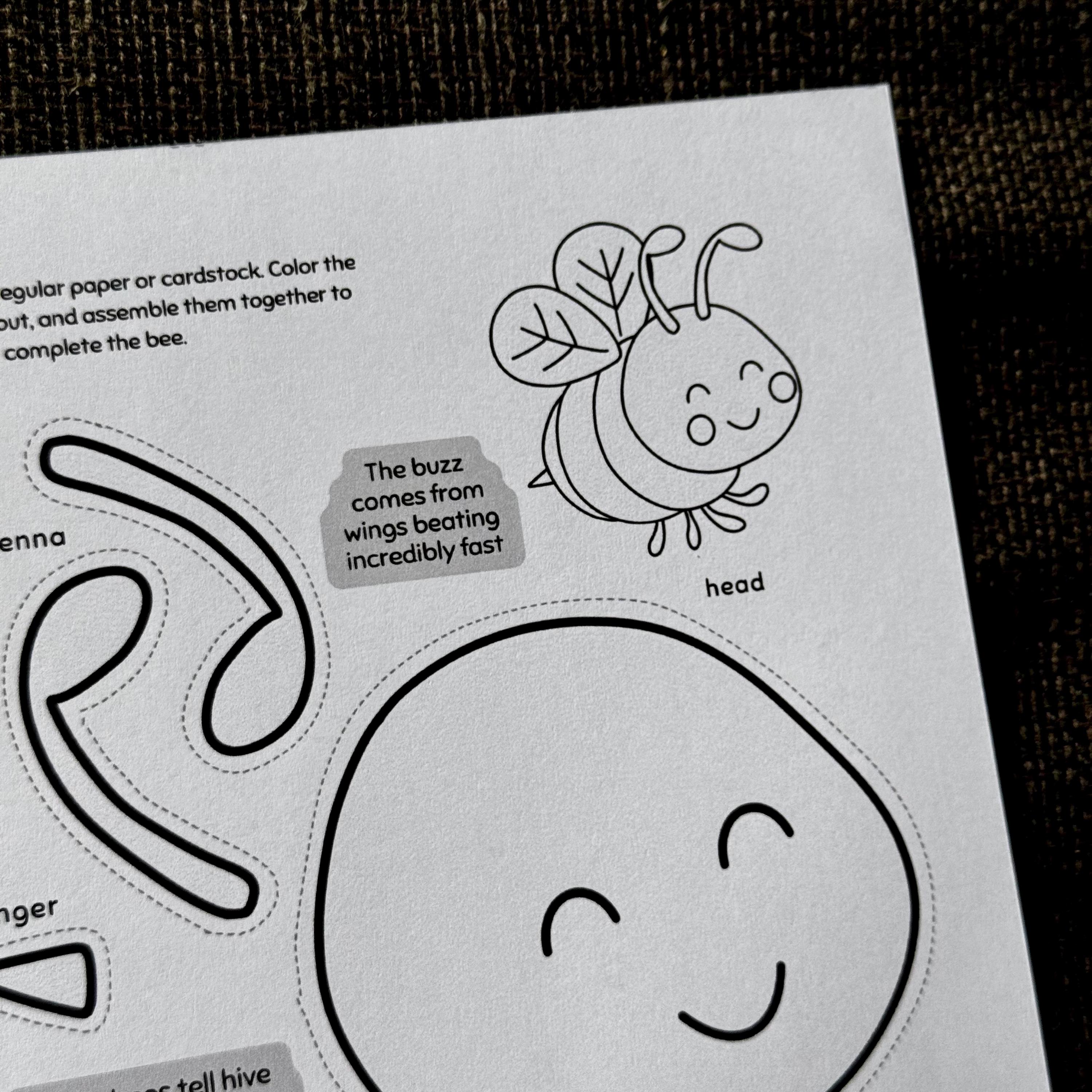 Bee Cut and Paste Craft Printable for Preschool | Bug Scissor Skills ...
