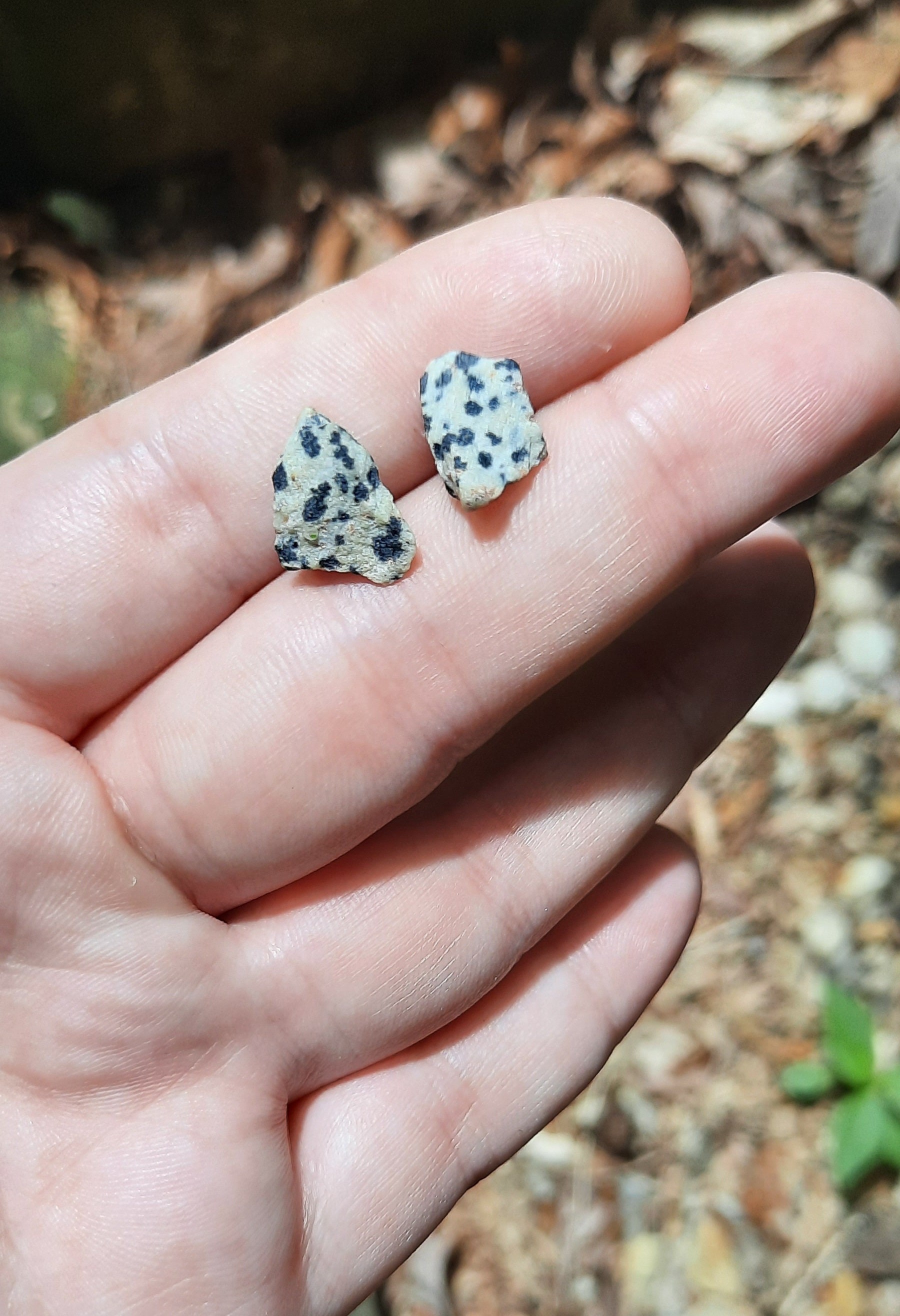Natural Dalmatian Jasper Crystal Raw Spotted Gemstone Stud | Etsy
