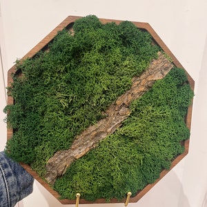 Moss Art With Real Forever Moss Preserved so It Will Stay With You ...