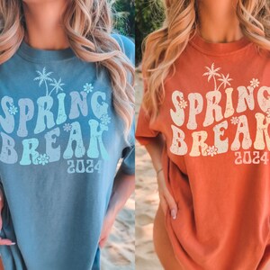 Spring Break 2024 Shirt, Family Vacation Shirts, Spring Break Shirts ...