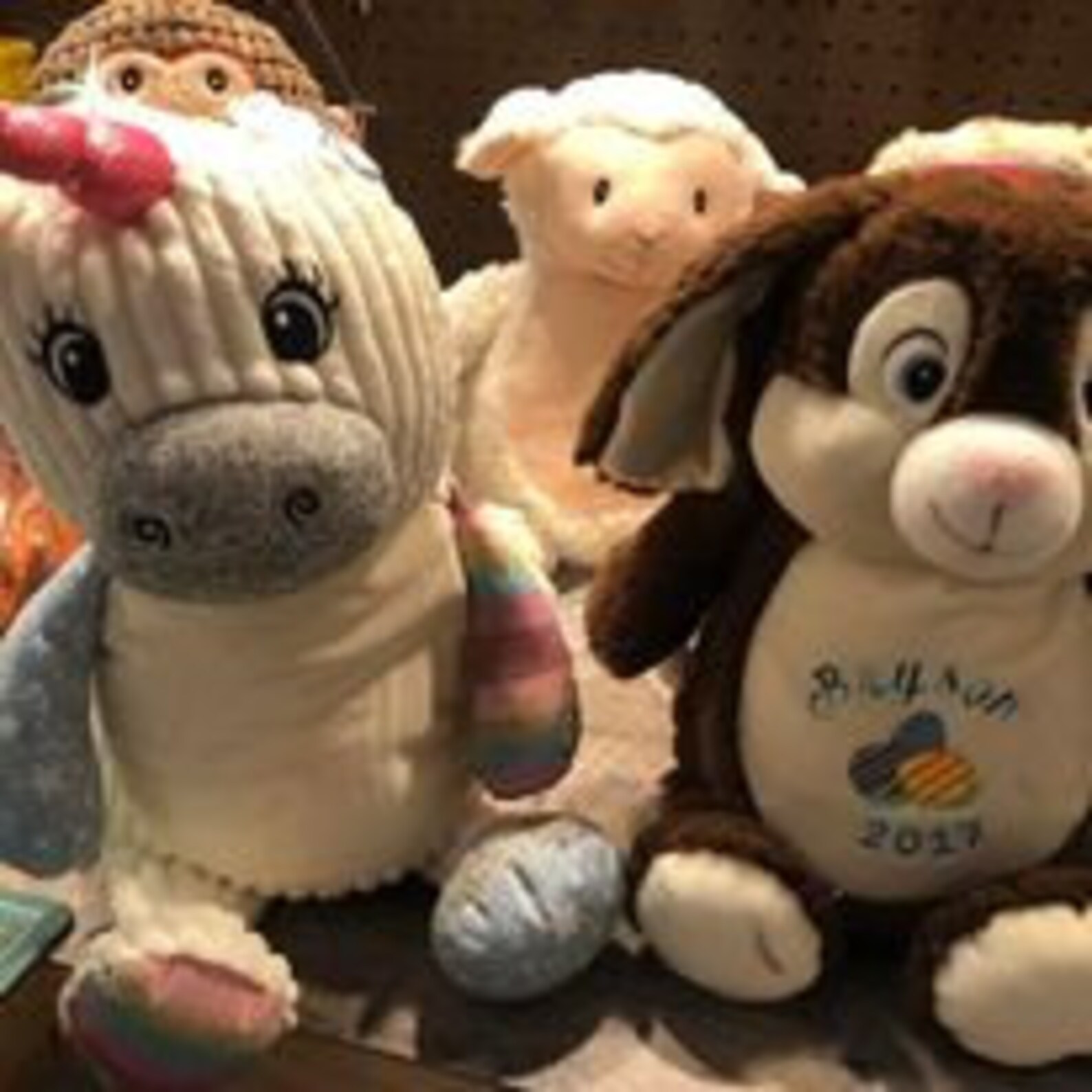 Personalized Stuffed Animal Keepsake Birth Announcement New Baby Birth ...