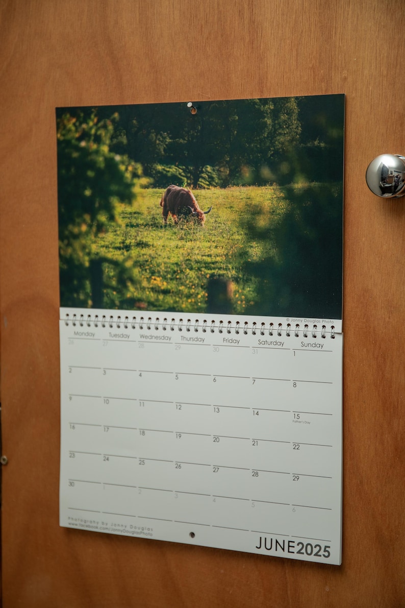 2025 HIGHLAND COW CALENDAR - Etsy