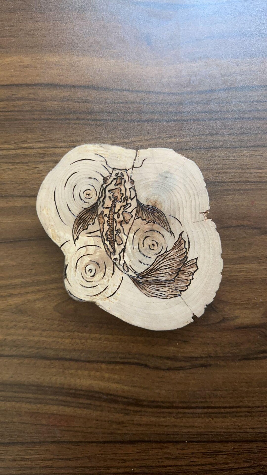 Woodburned Koi Fish Pyrography Art - Etsy