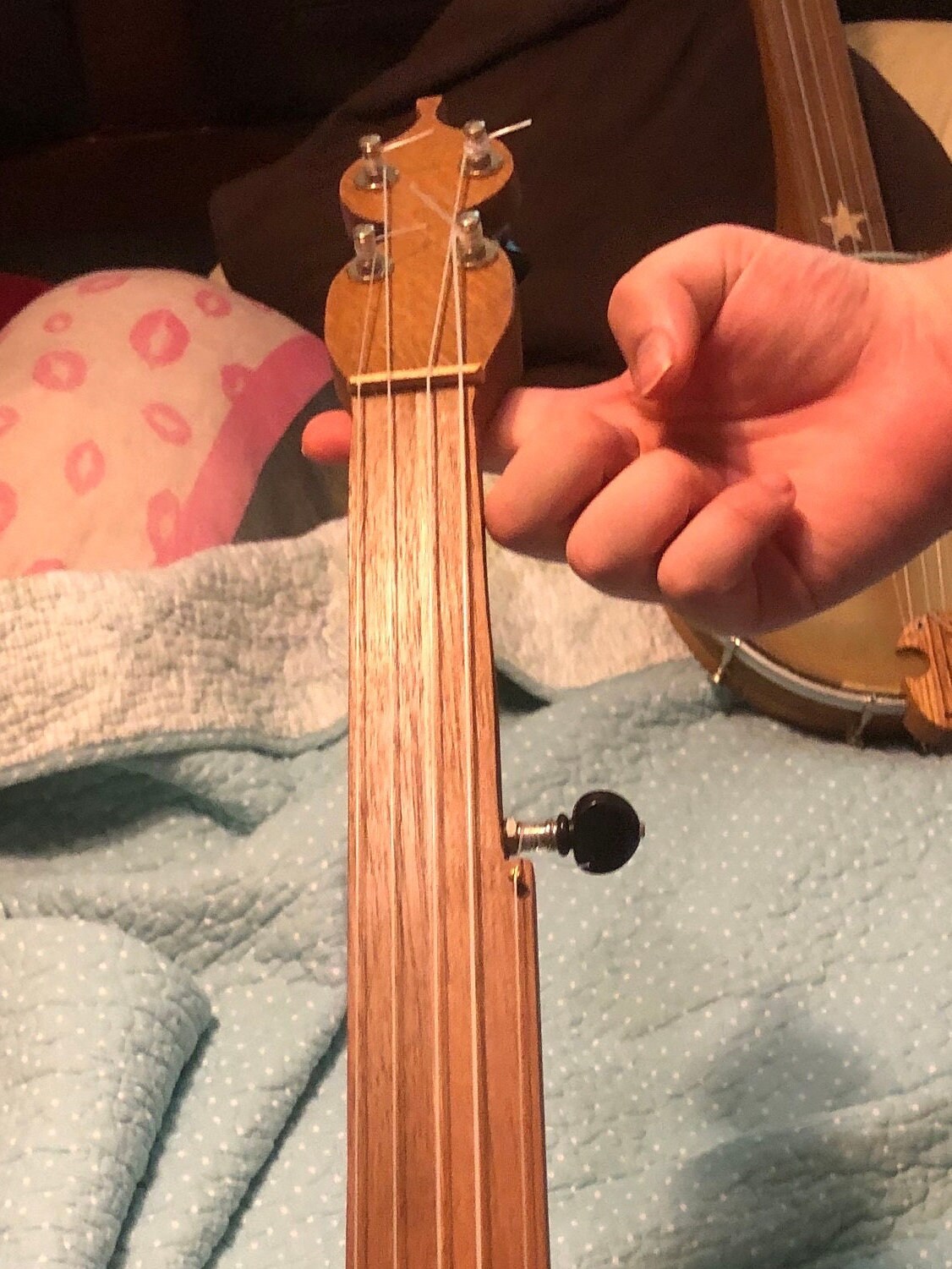 Left Hand Fretless Banjo - Etsy