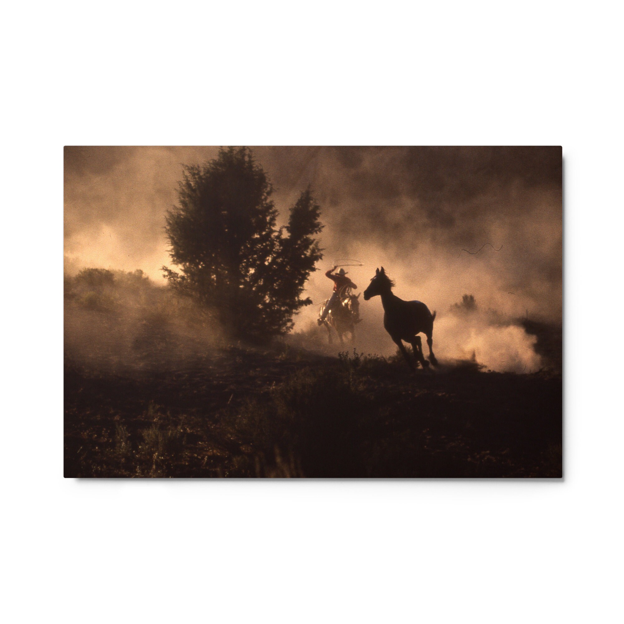 Western Ranch Decor Cowboy in Action Metal Prints Horse Photography ...