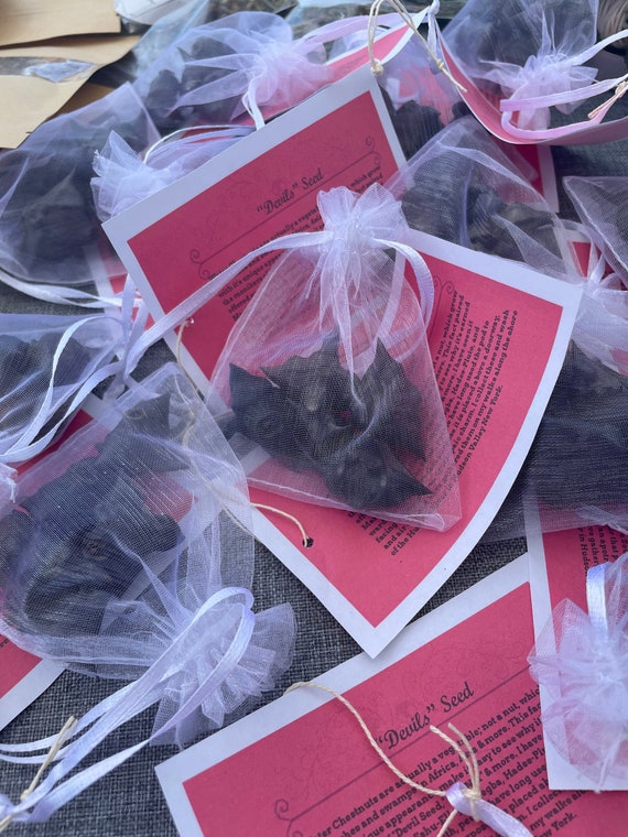 Devil Seed With Description - Etsy