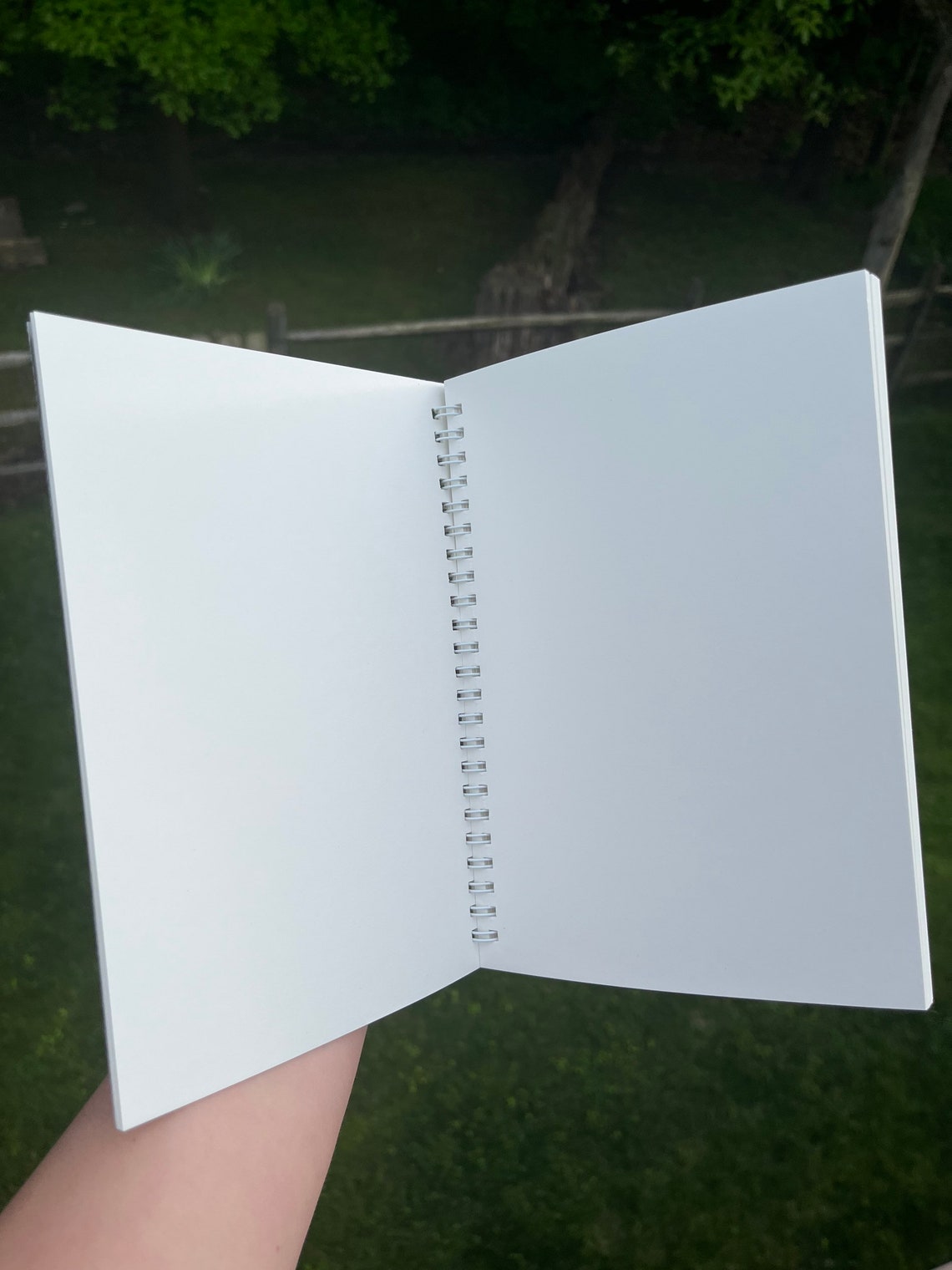 Amphibia Annes Journal Amphibia Anne Cosplay/notebook - Etsy