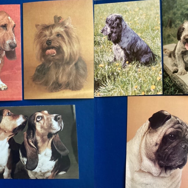 Vintage Dog Postcard - Etsy