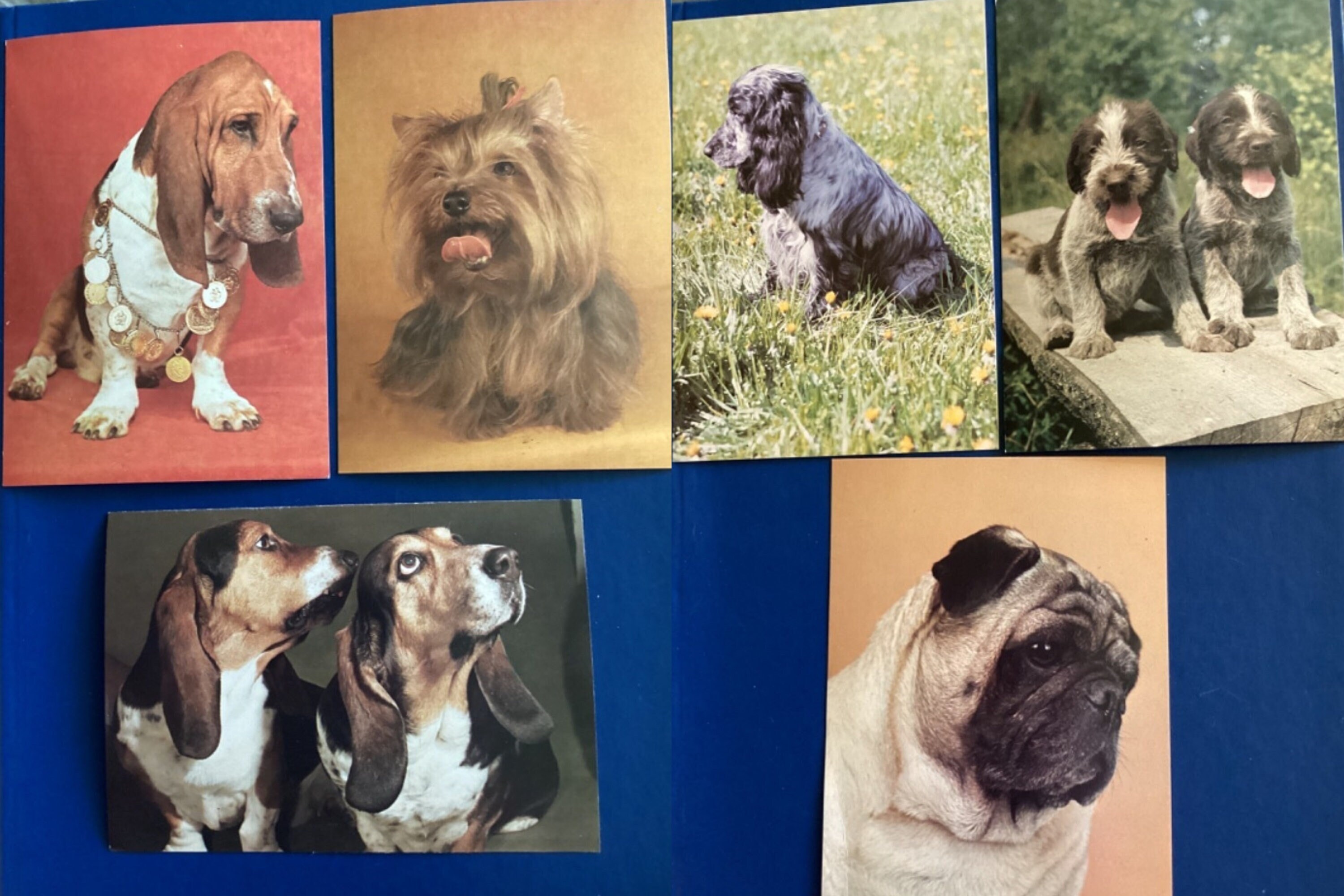 Dogs Postcards, Set of 6 Vintage Postcards From 1987, Unused Pug ...