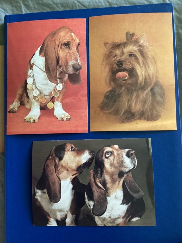 Dogs Postcards, Set of 6 Vintage Postcards From 1987, Unused Pug ...