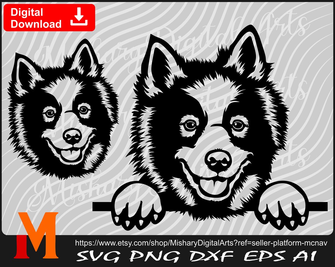 Peeking American Eskimo Svg American Eskimo Silhouette Dog - Etsy