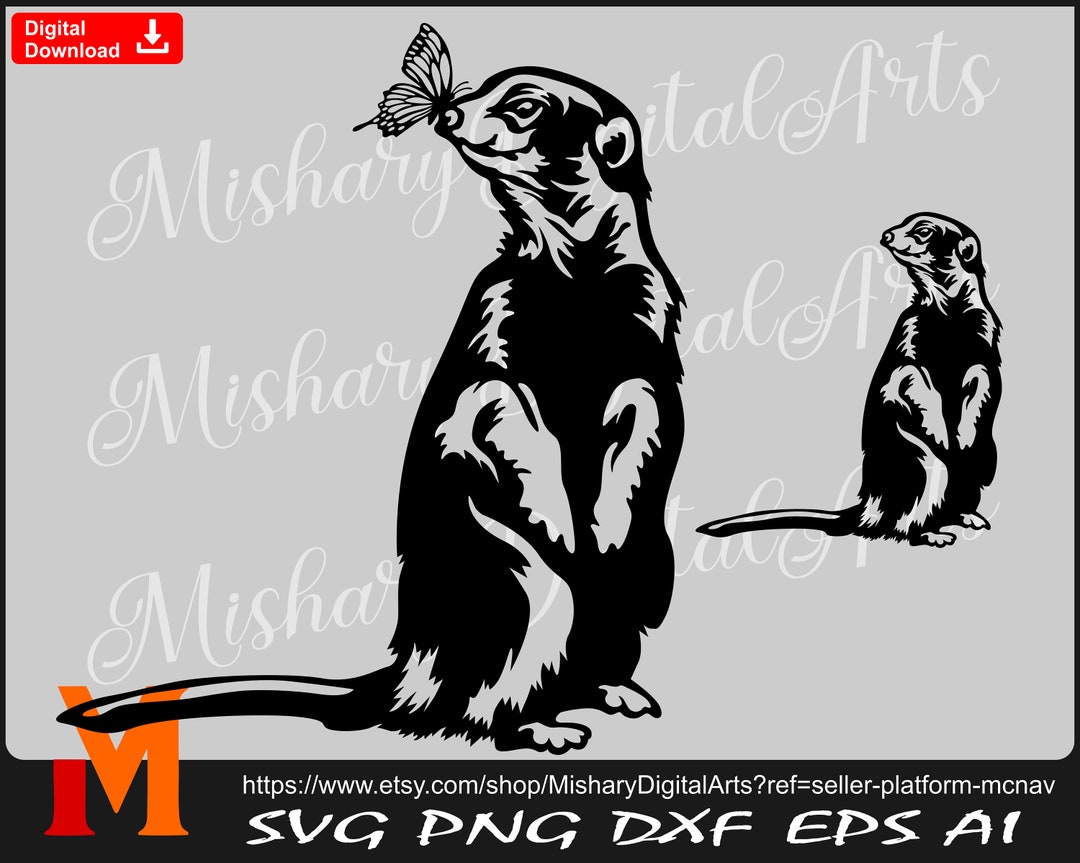 Cute Meerkat With Butterfly, Meerkats Svg, Butterfly Svg, Meerkat ...