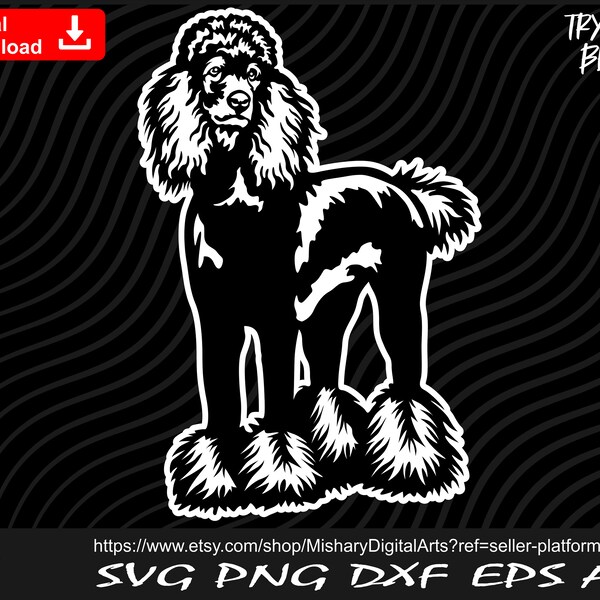 Poodle Svg - Etsy