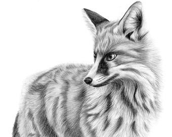 "british Wildlife" Pencil Drawing - Etsy UK